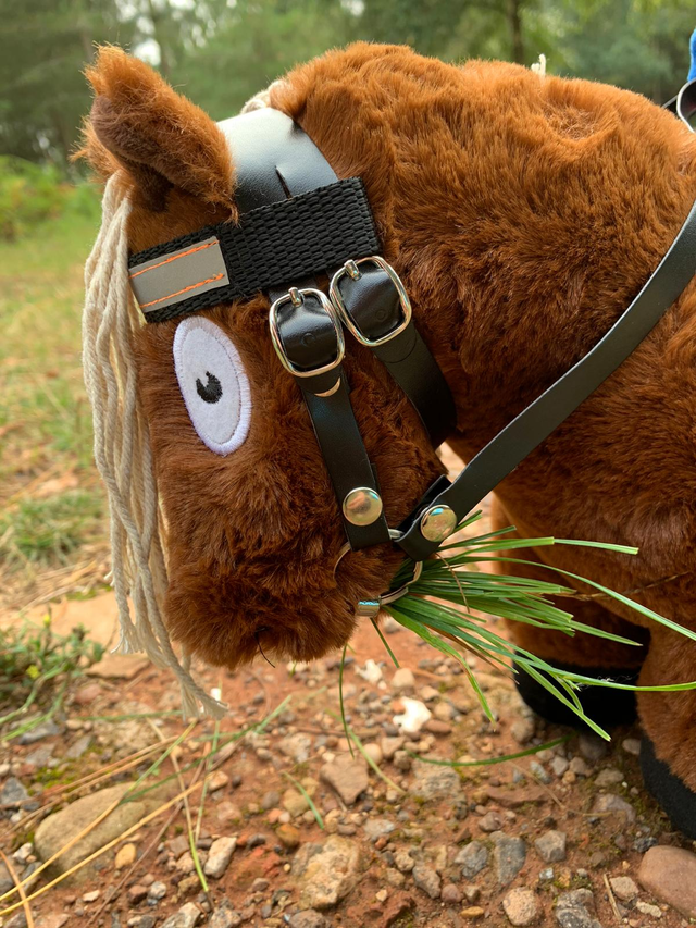 Crafty Ponies - the educational soft toy pony – Crafty Ponies USA