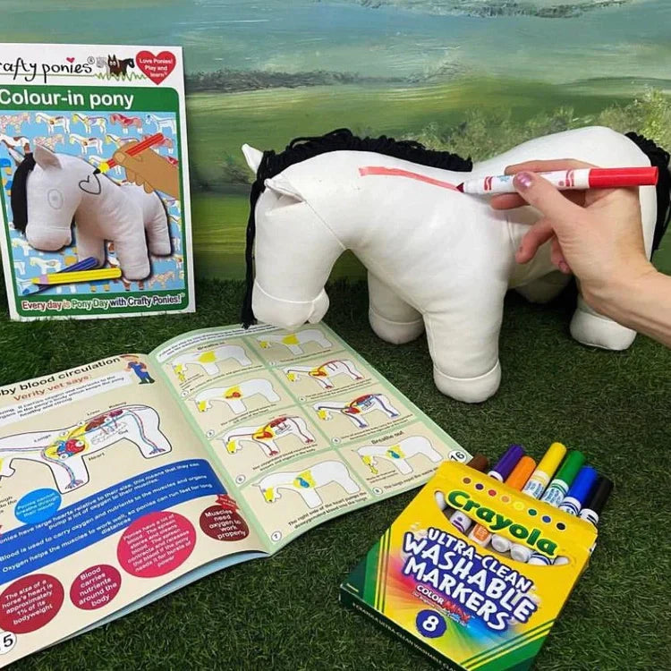 Vinyl Pony with Booklet & Markers – Crafty Ponies USA