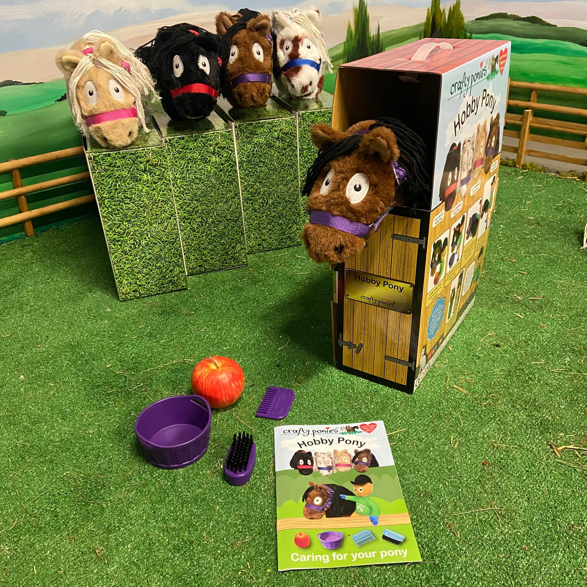 Hobby Pony Box Set – Crafty Ponies USA