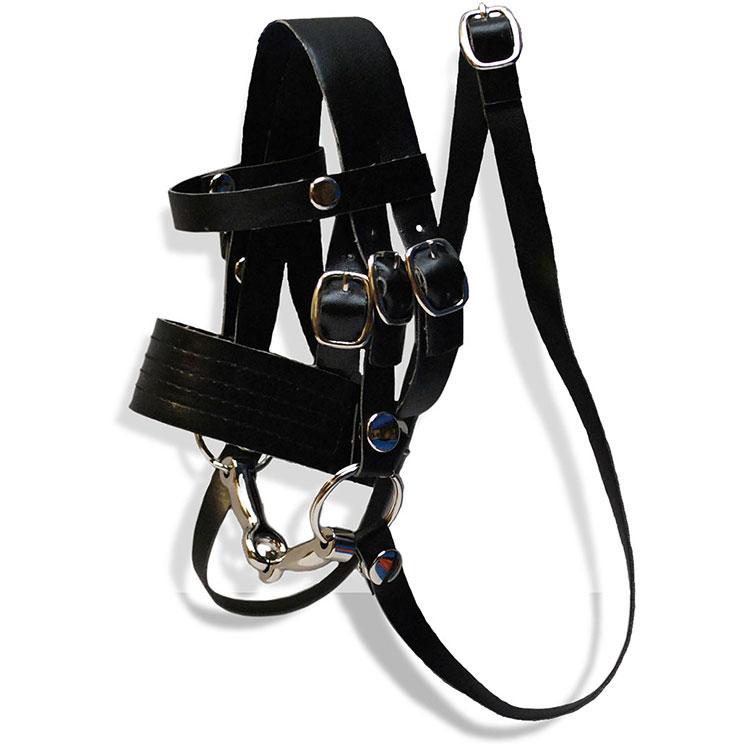 English Bridle – Crafty Ponies USA English Bridle – Crafty Ponies USA